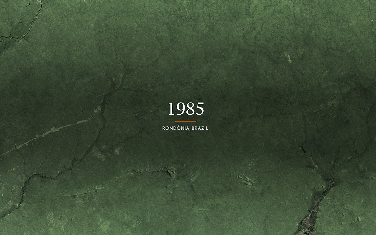 What Could Go Right? - Eyes on Brazil’s Amazon