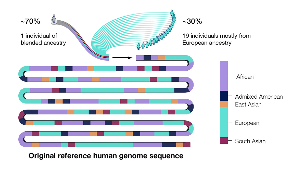 What Could Go Right? - 275M Previously Undiscovered DNA Variants